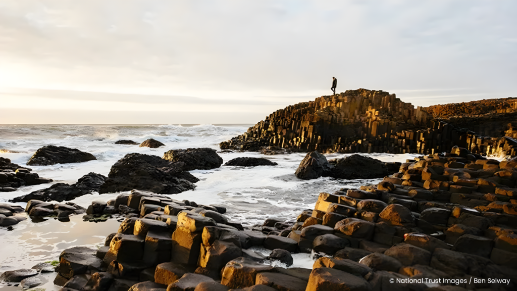What is ‘silent nature’ and why does it matter? | NI Science Festival
