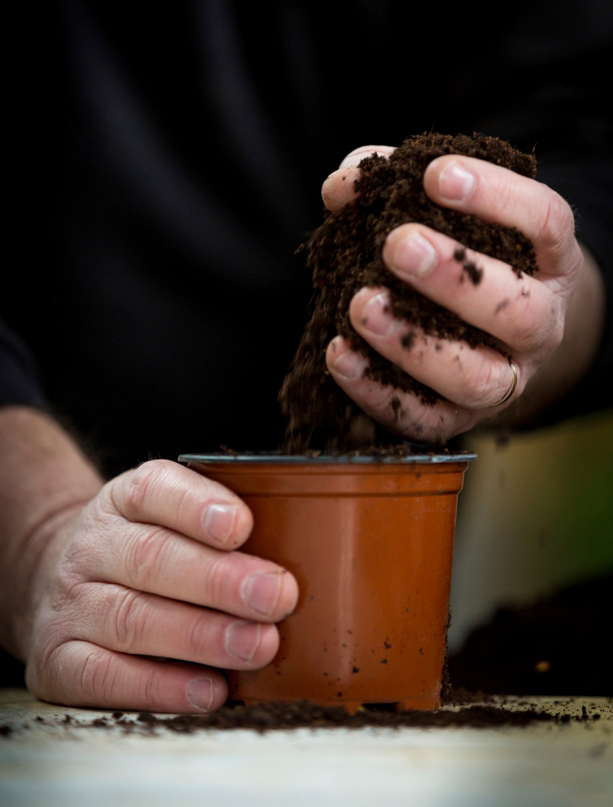 A Beginner’s Guide to the Science of Compost | NI Science Festival