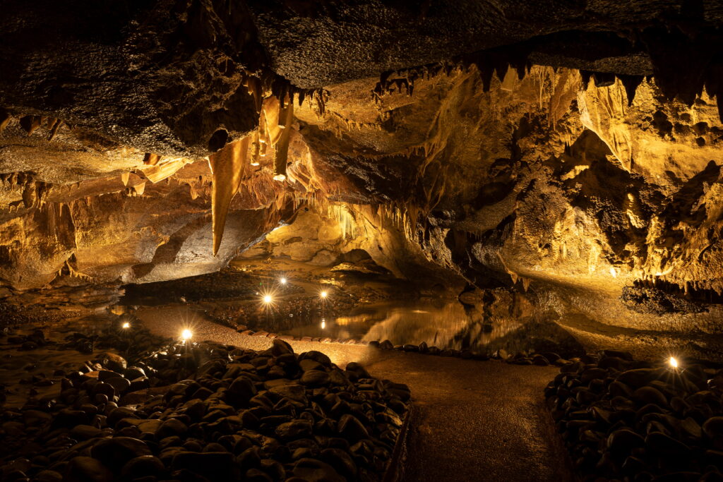 Uncover the Mysteries of Cave Science | NI Science Festival